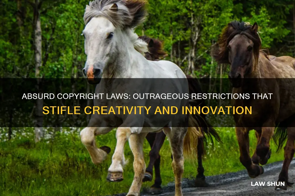 Absurd Copyright Laws: Outrageous Restrictions That Stifle Creativity ...