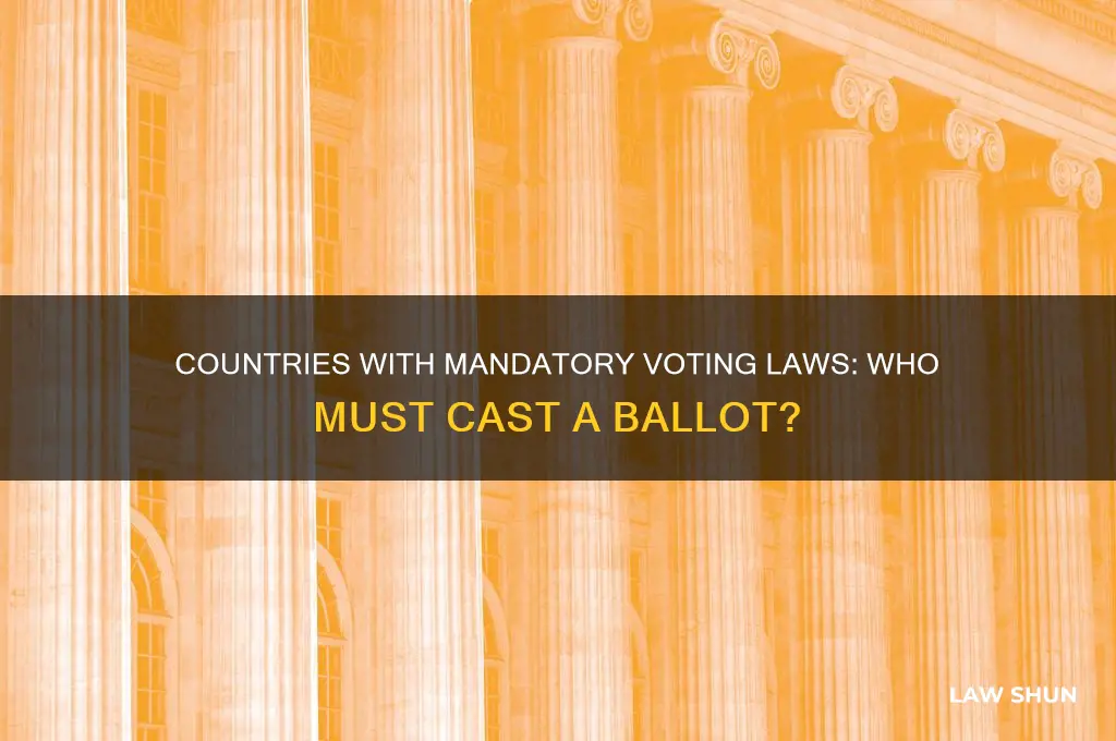 Countries With Mandatory Voting Laws: Who Must Cast A Ballot? | LawShun