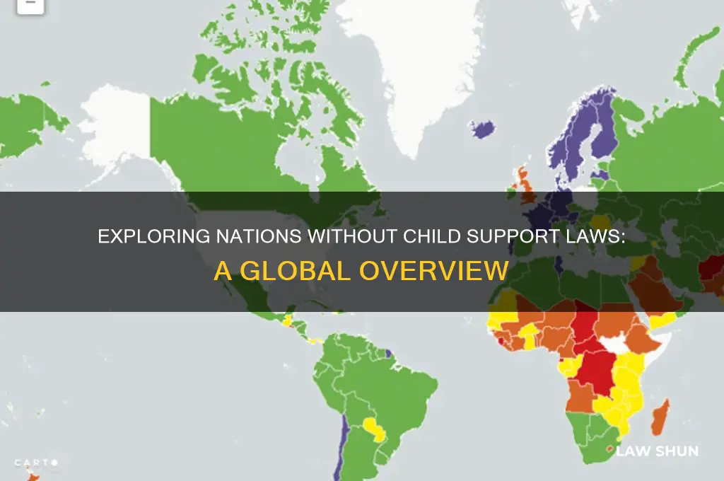 Exploring Nations Without Child Support Laws: A Global Overview | LawShun