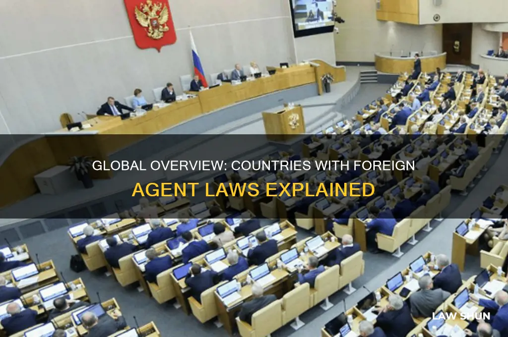 Global Overview: Countries With Foreign Agent Laws Explained | LawShun