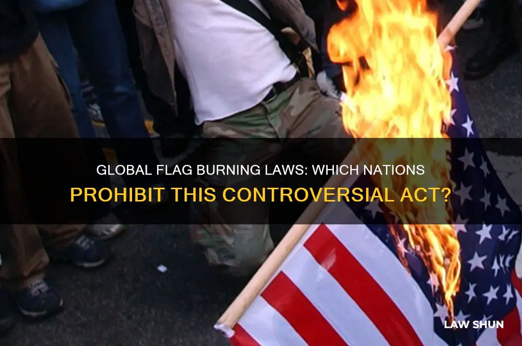 Global Flag Burning Laws: Which Nations Prohibit This Controversial Act ...