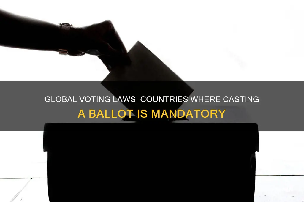 Global Voting Laws: Countries Where Casting A Ballot Is Mandatory | LawShun