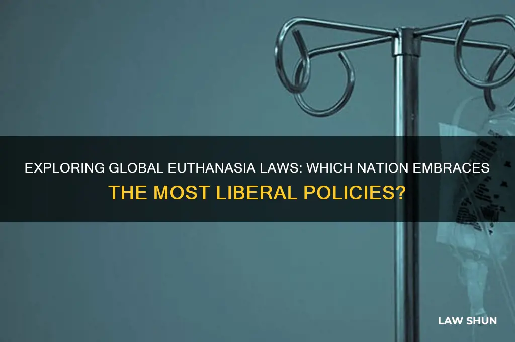 Exploring Global Euthanasia Laws: Which Nation Embraces The Most ...