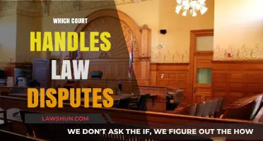 The Evolution Of Law Courts: A Historical Development Overview | LawShun