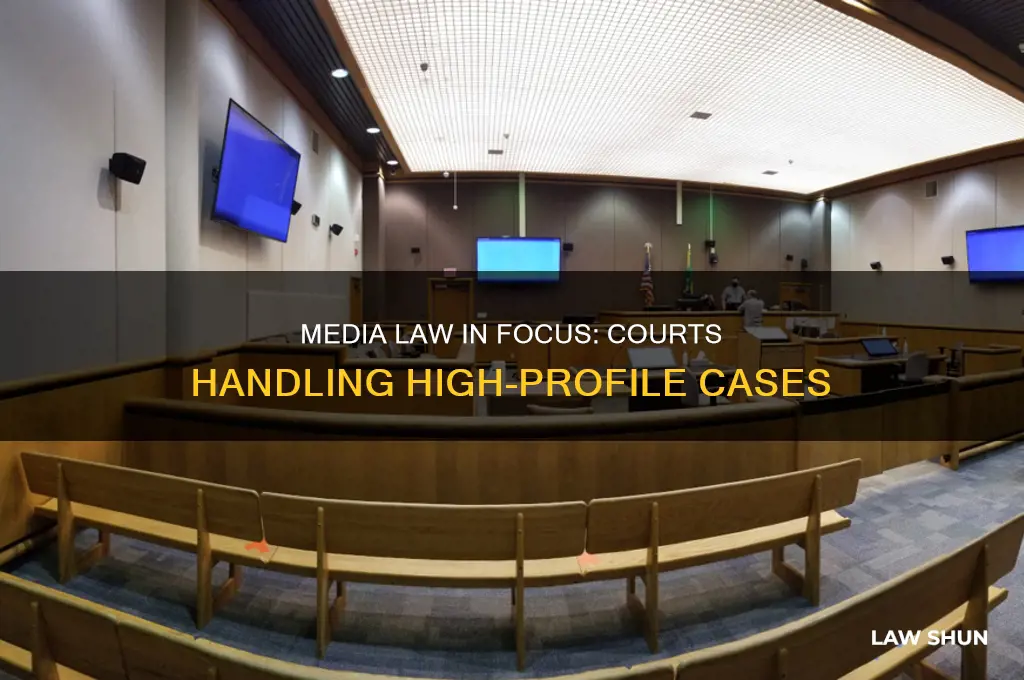 Media Law In Focus: Courts Handling High-Profile Cases | LawShun