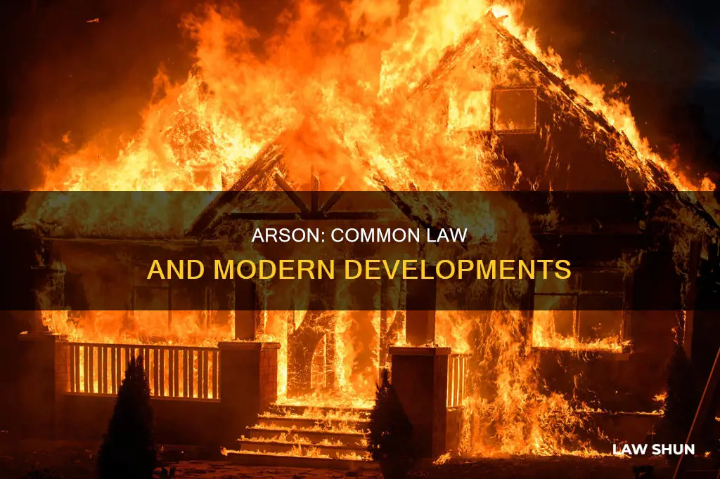 Arson: Common Law And Modern Developments | LawShun