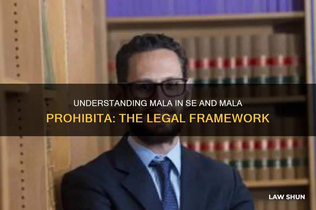 Understanding Mala In Se And Mala Prohibita: The Legal Framework | LawShun