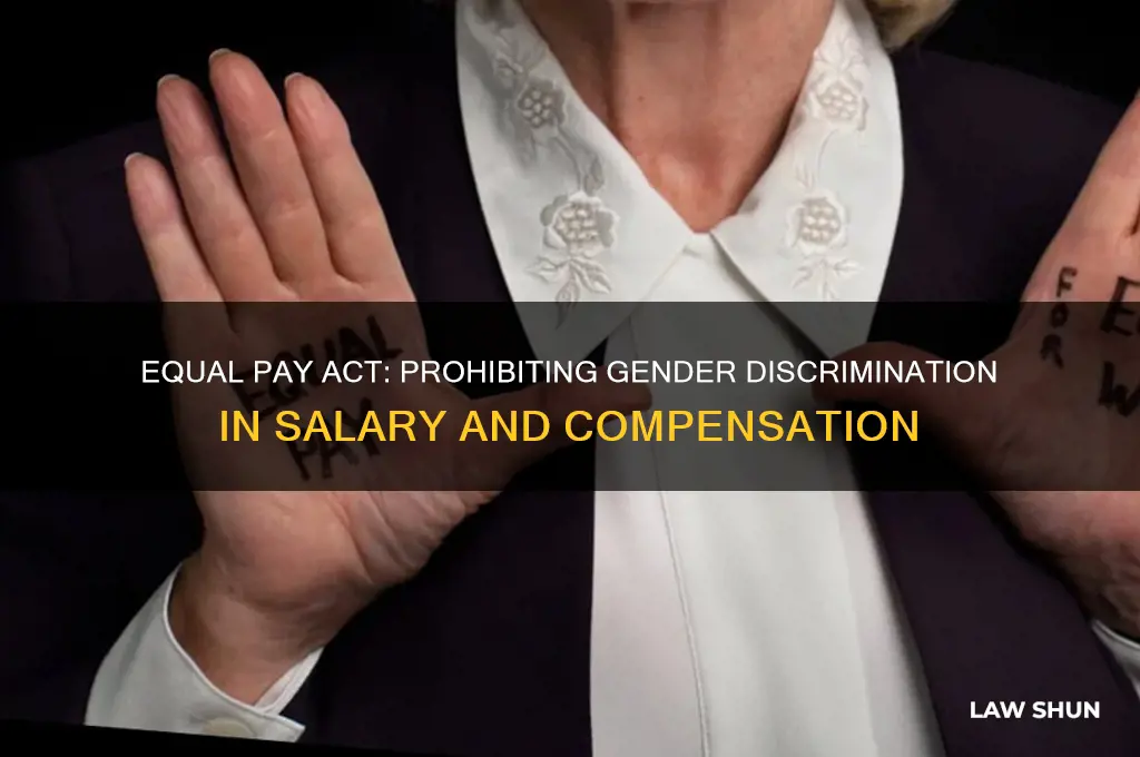 Equal Pay Act: Prohibiting Gender Discrimination In Salary And ...