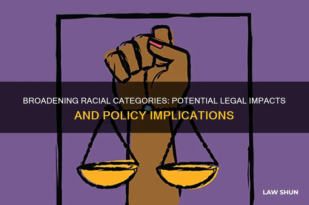 Broadening Racial Categories: Potential Legal Impacts And Policy ...