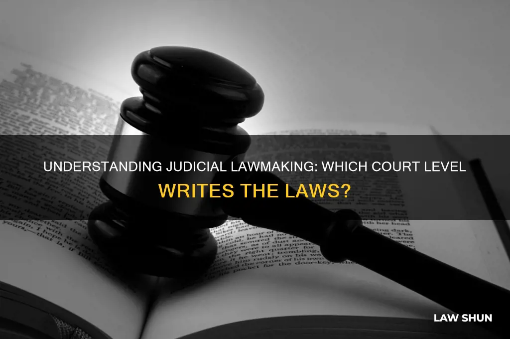 Understanding Judicial Lawmaking: Which Court Level Writes The Laws ...