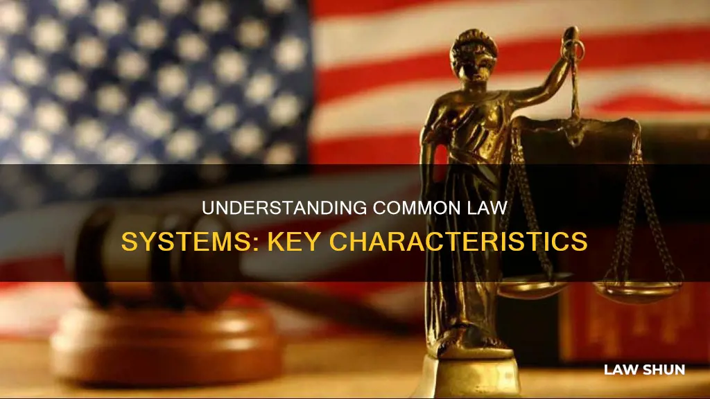 Understanding Common Law Systems: Key Characteristics | LawShun