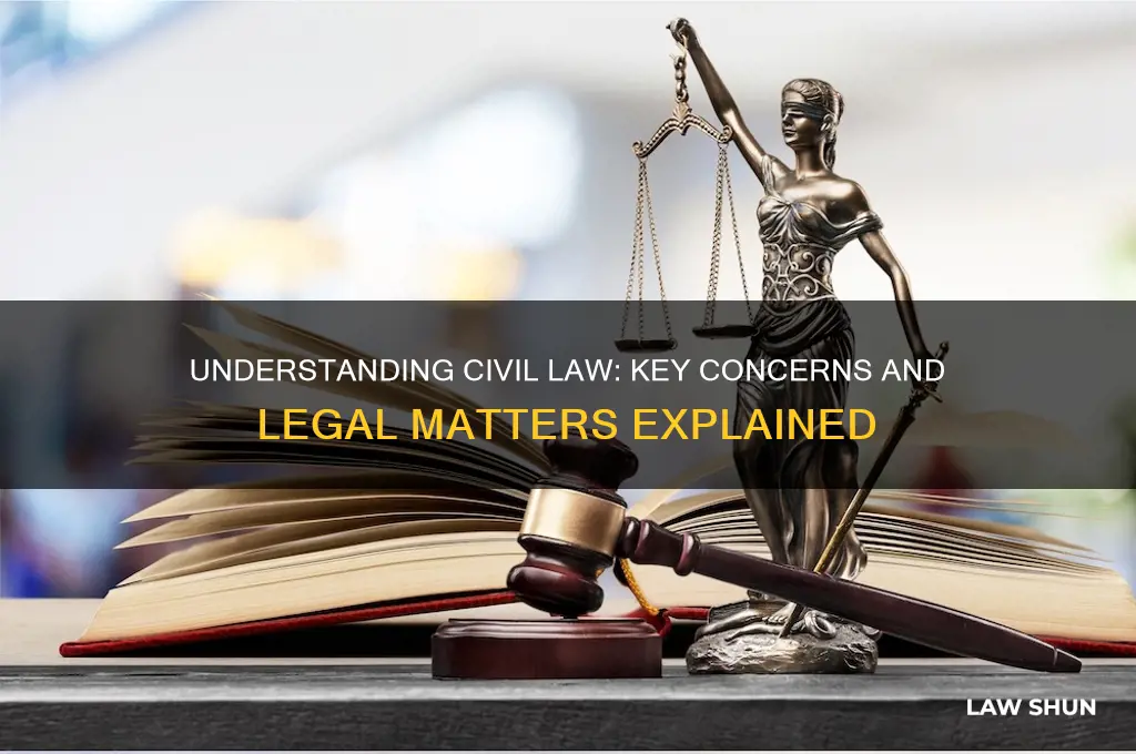 Understanding Civil Law: Key Concerns And Legal Matters Explained | LawShun