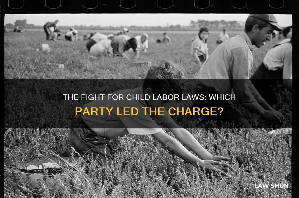 The Fight For Child Labor Laws: Which Party Led The Charge? | LawShun
