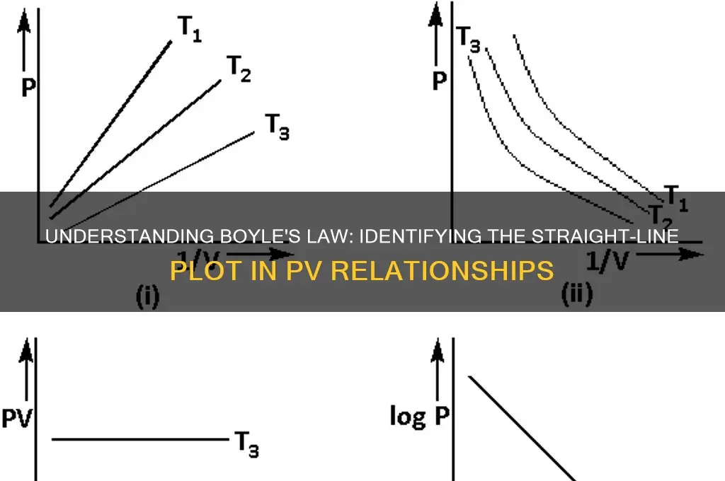 Understanding Boyle's Law: Identifying The Straight-Line Plot In Pv ...