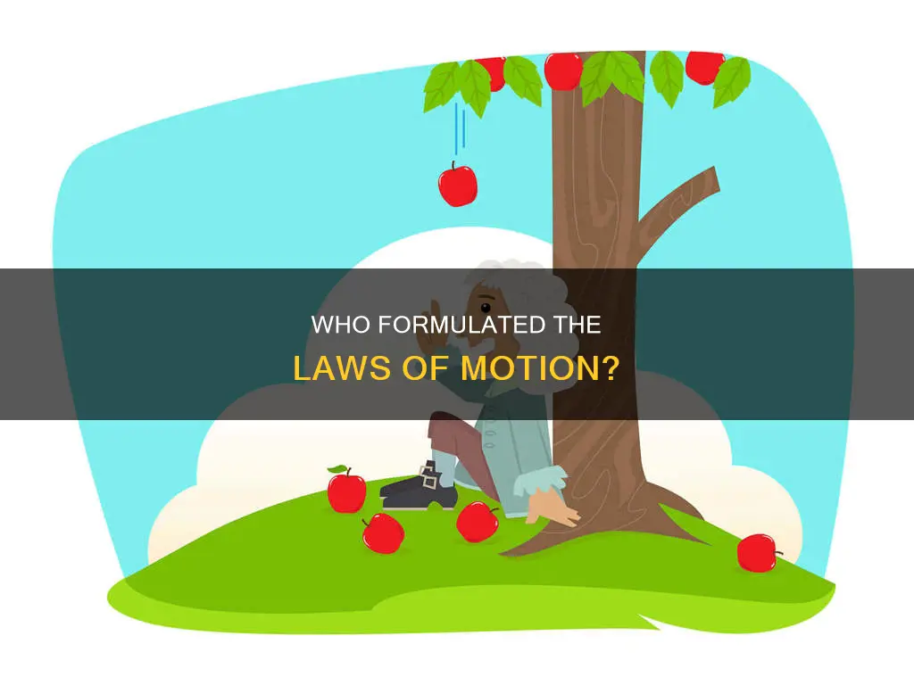 Who Formulated The Laws Of Motion? | LawShun