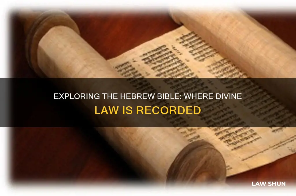 Exploring The Hebrew Bible: Where Divine Law Is Recorded | LawShun