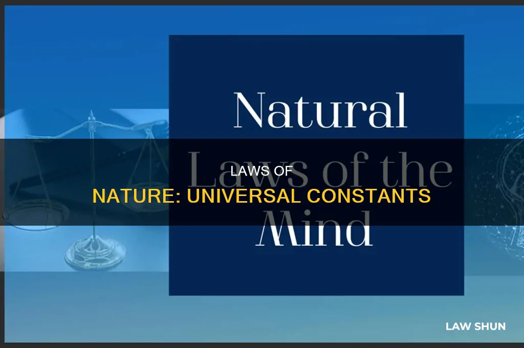 Laws Of Nature: Universal Constants | LawShun