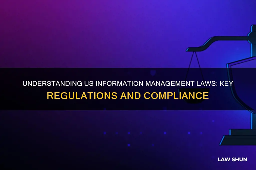 Understanding Us Information Management Laws: Key Regulations And ...