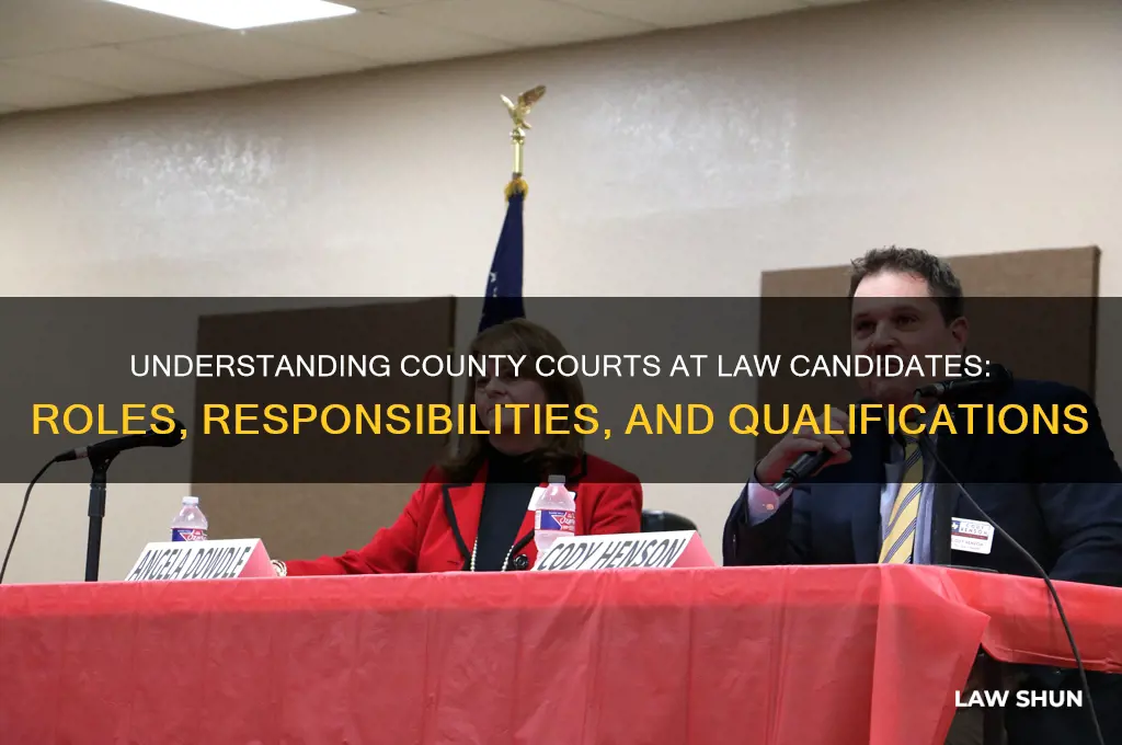 Understanding County Courts At Law Candidates: Roles, Responsibilities ...