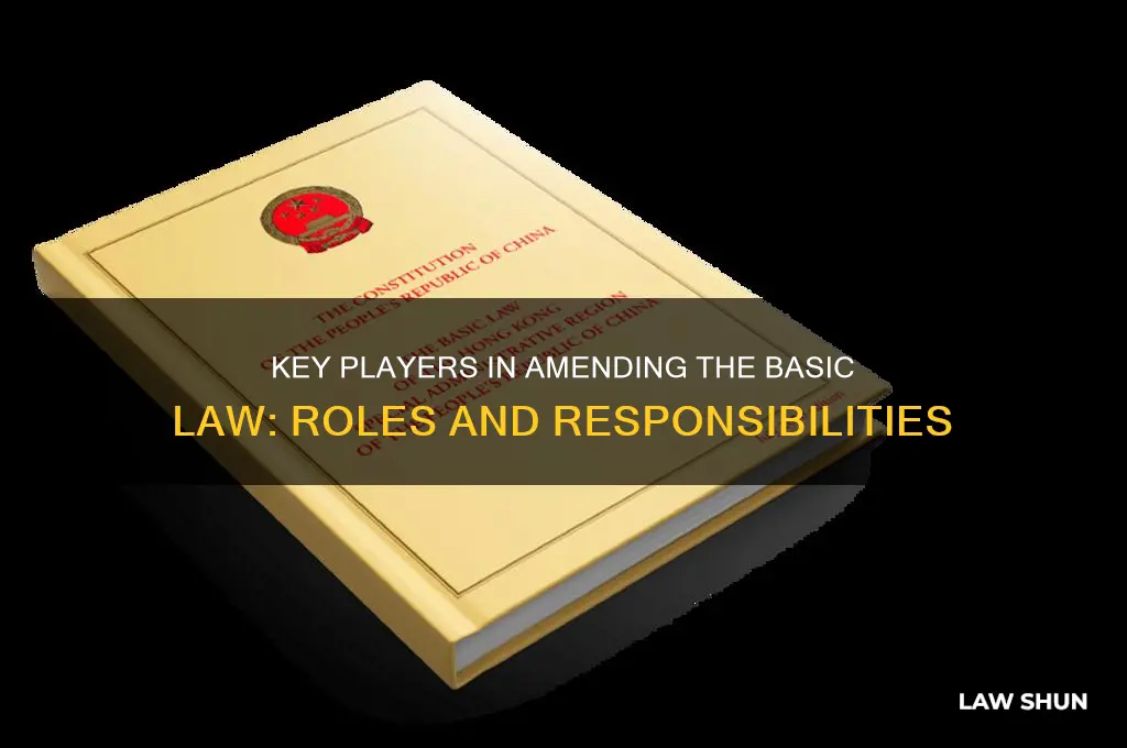 Key Players In Amending The Basic Law: Roles And Responsibilities | LawShun