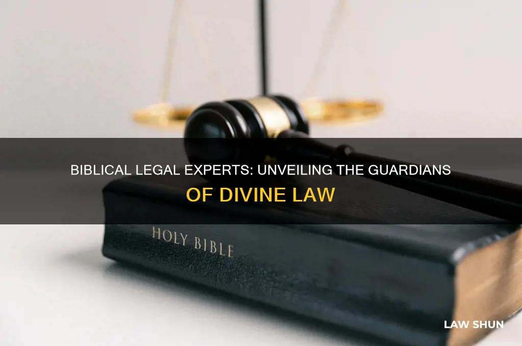 Biblical Legal Experts: Unveiling The Guardians Of Divine Law | LawShun