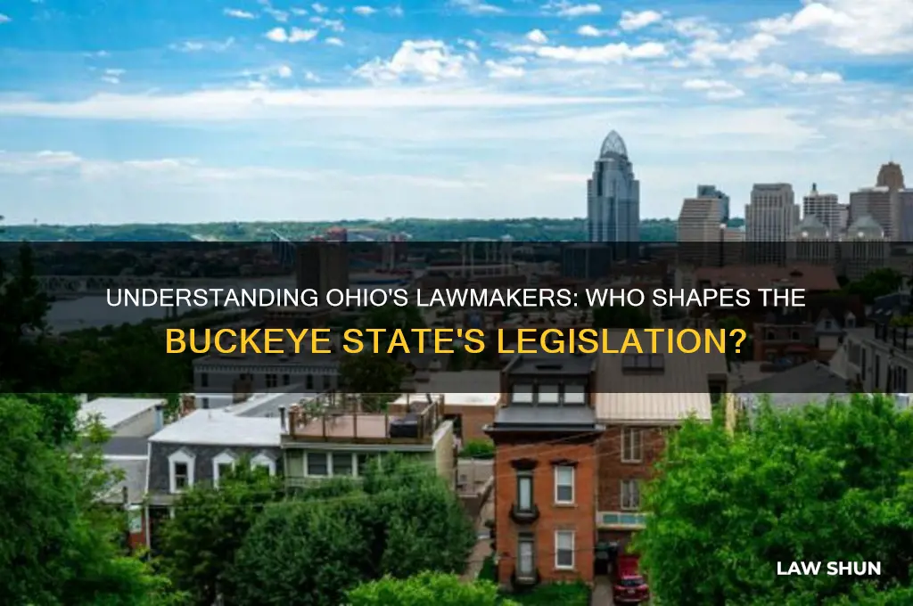 Understanding Ohio's Lawmakers: Who Shapes The Buckeye State's ...