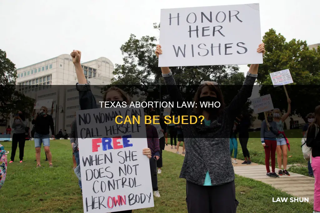 Texas Abortion Law: Who Can Be Sued? | LawShun