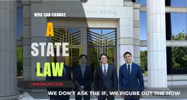 Who Holds The Power To Change Election Laws? | LawShun