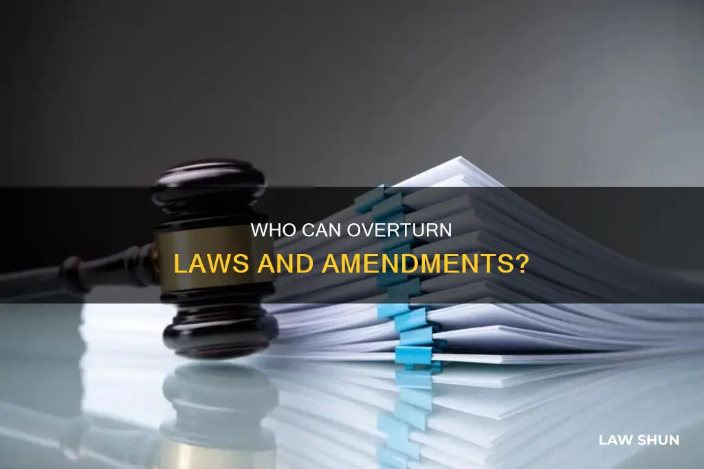 Who Can Overturn Laws And Amendments? | LawShun