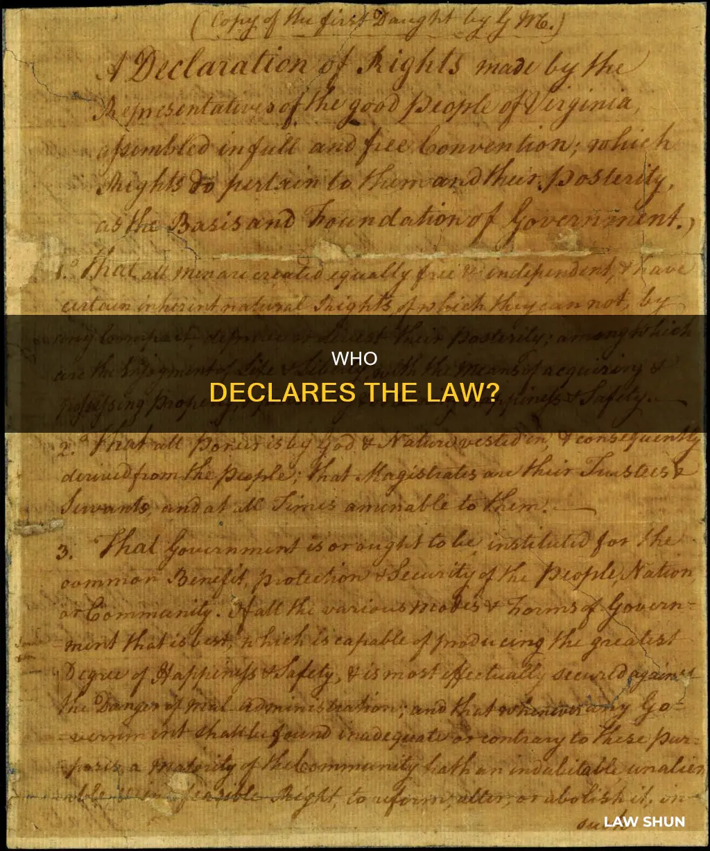 Who Declares The Law? | LawShun
