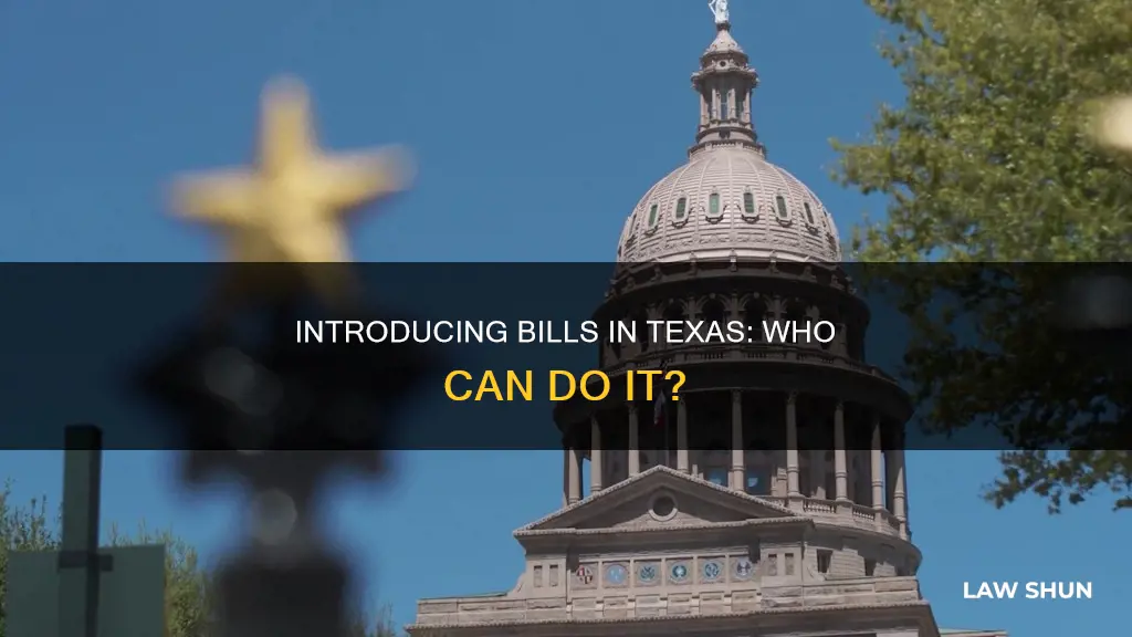 Introducing Bills In Texas: Who Can Do It? | LawShun