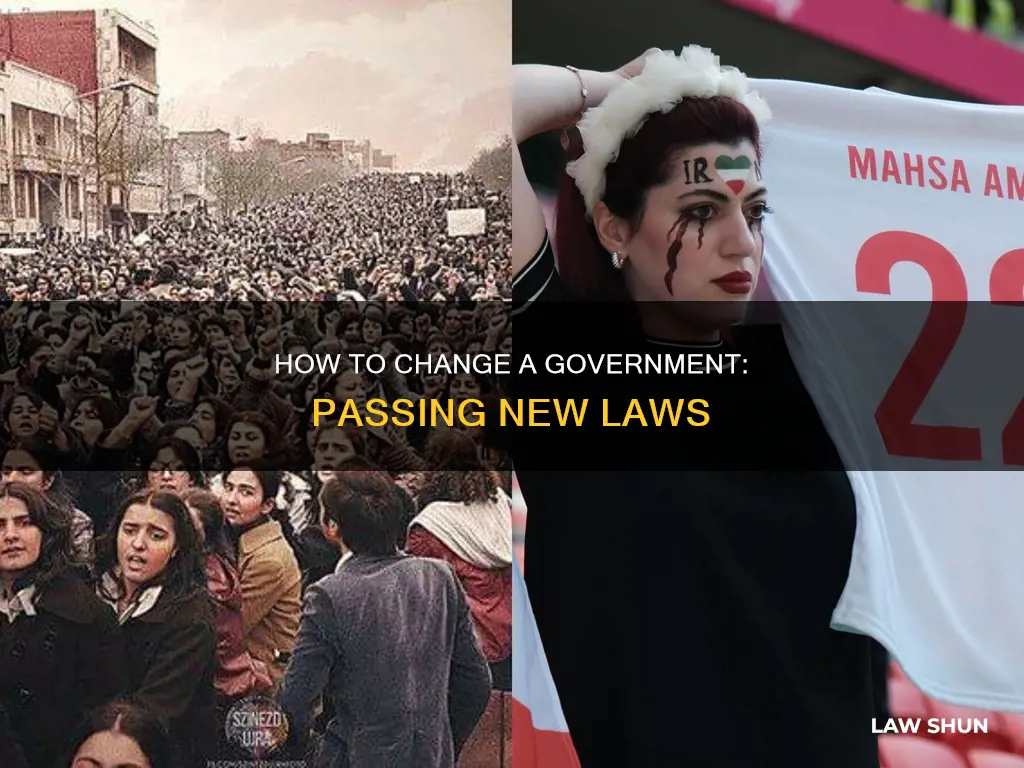 How To Change A Government: Passing New Laws | LawShun
