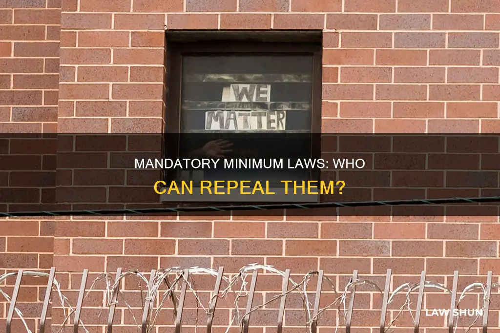Mandatory Minimum Laws: Who Can Repeal Them? | LawShun