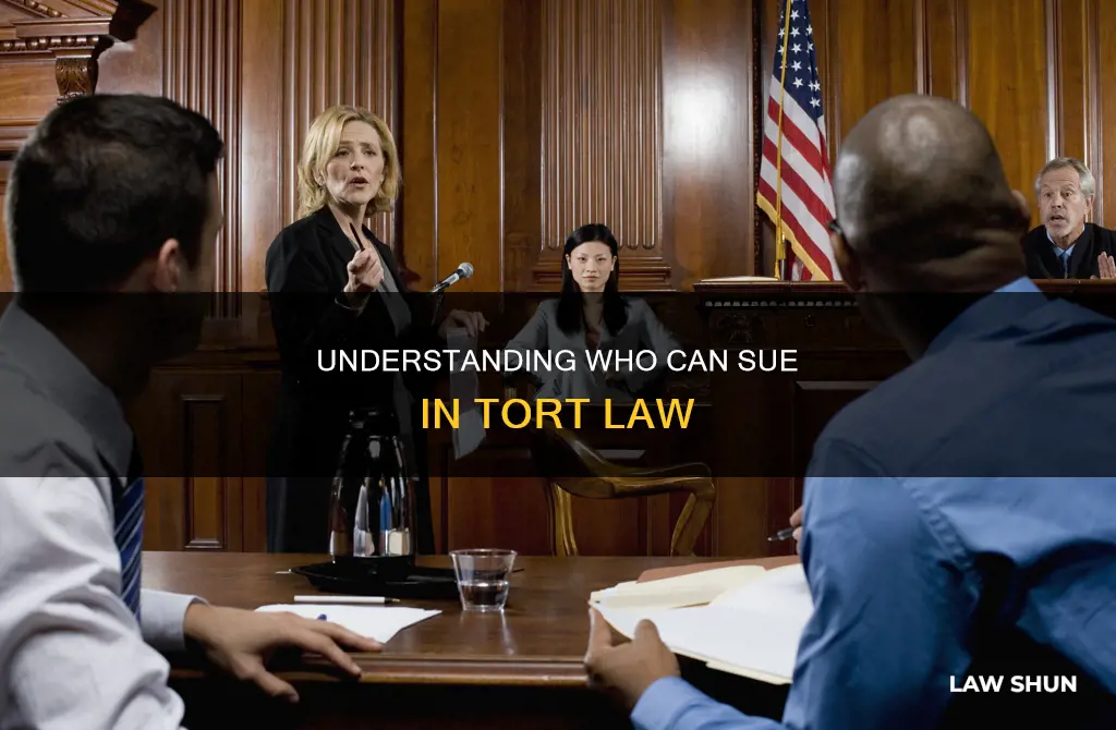 Understanding Who Can Sue In Tort Law | LawShun
