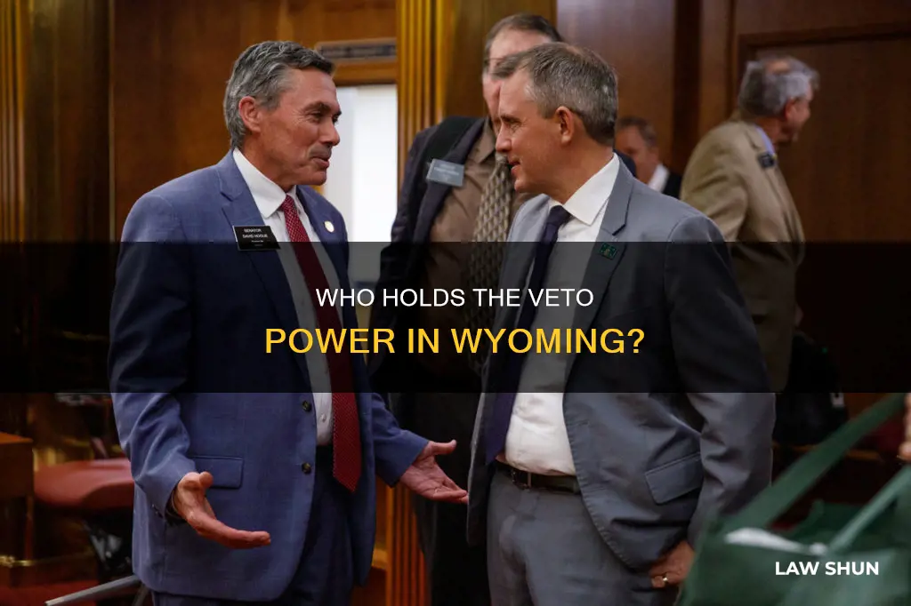 Who Holds The Veto Power In Wyoming? | LawShun