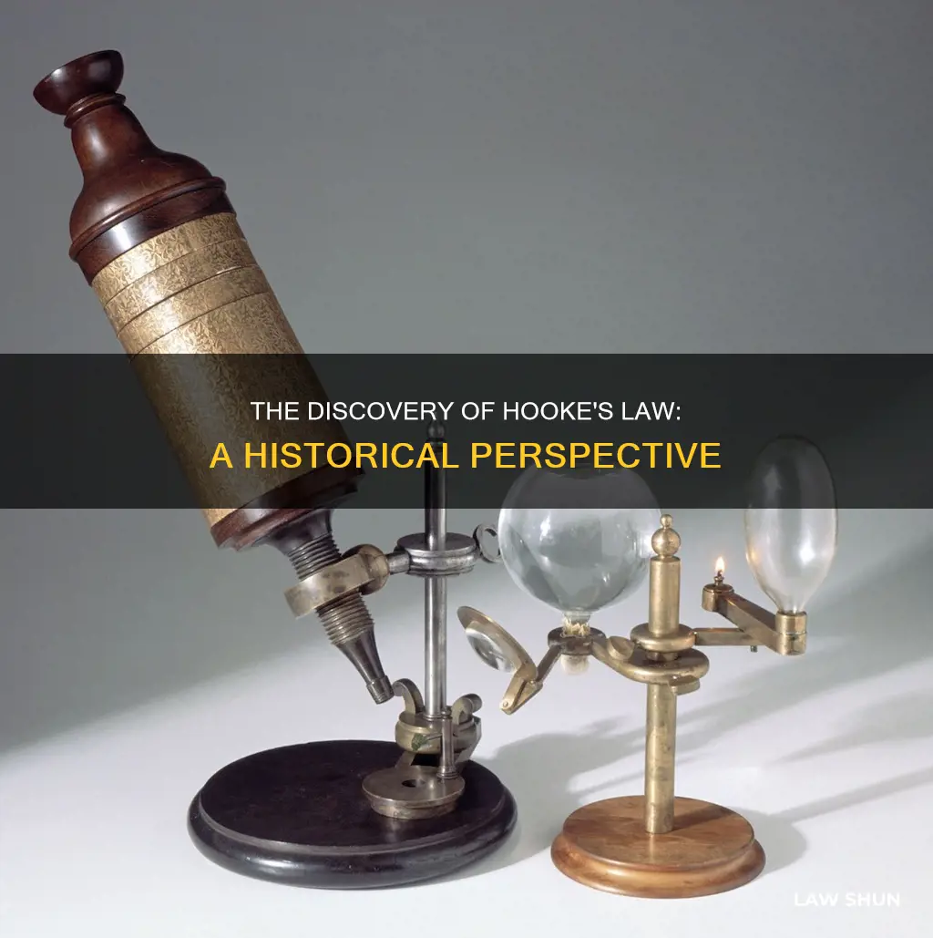 The Discovery Of Hooke's Law: A Historical Perspective | LawShun