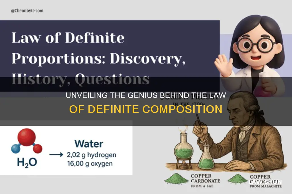 Unveiling The Genius Behind The Law Of Definite Composition | LawShun