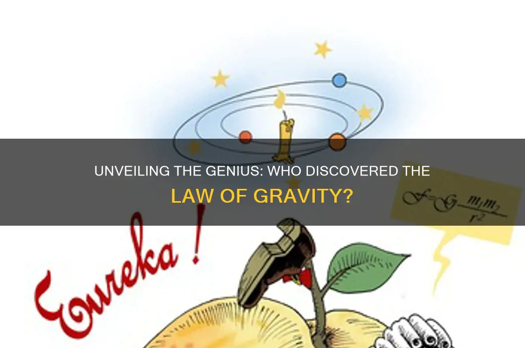 Unveiling The Genius: Who Discovered The Law Of Gravity? | LawShun