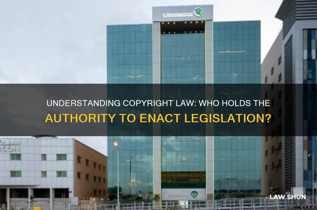 Understanding Copyright Law: Who Holds The Authority To Enact ...
