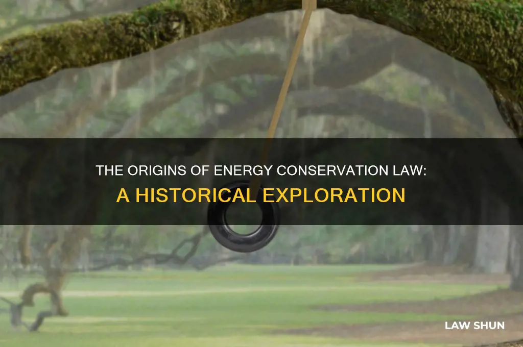 The Origins Of Energy Conservation Law: A Historical Exploration | LawShun