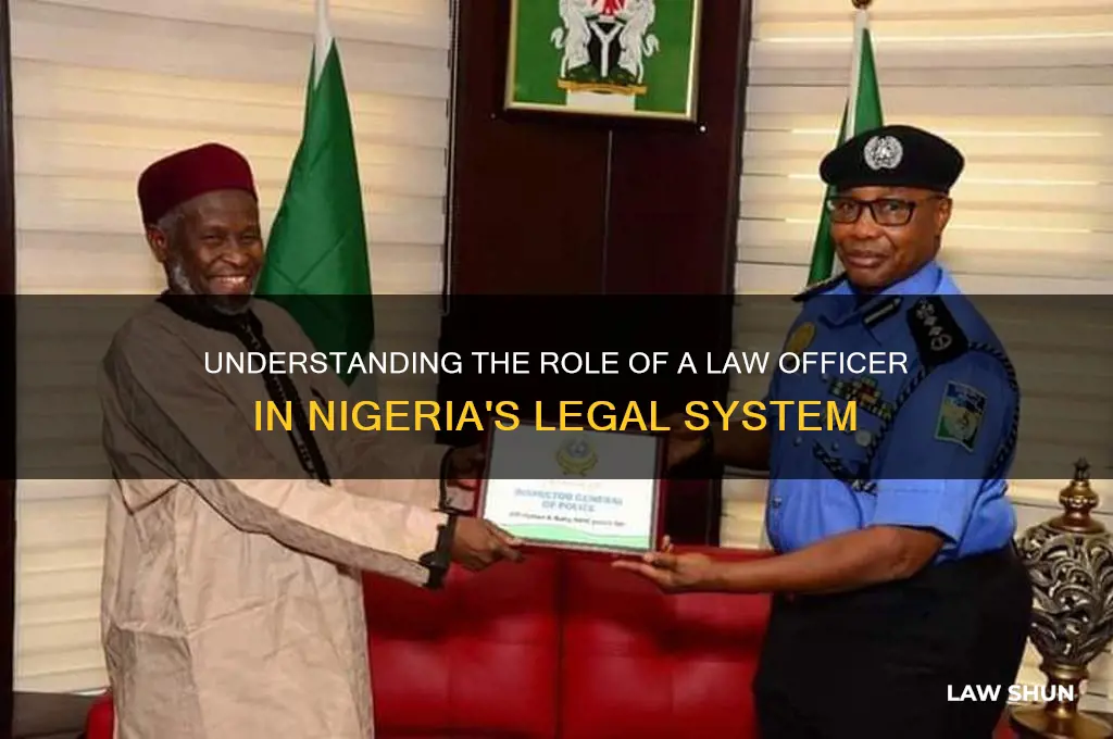 Understanding The Role Of A Law Officer In Nigeria's Legal System | LawShun