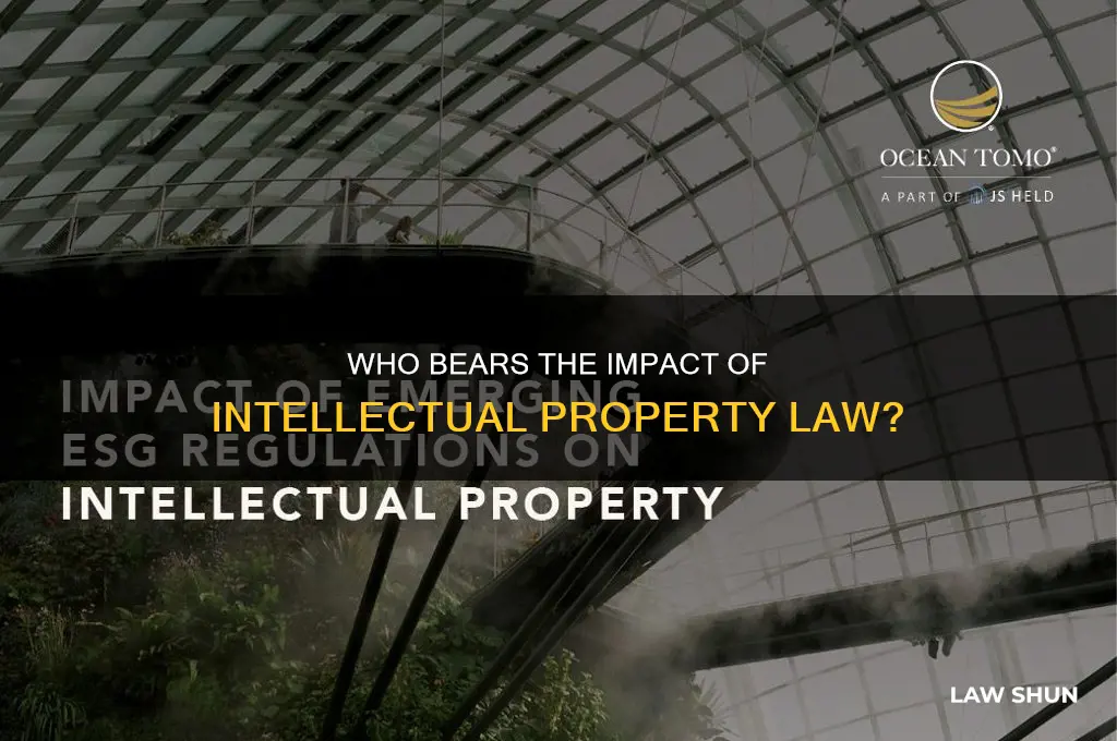 Who Bears The Impact Of Intellectual Property Law? | LawShun