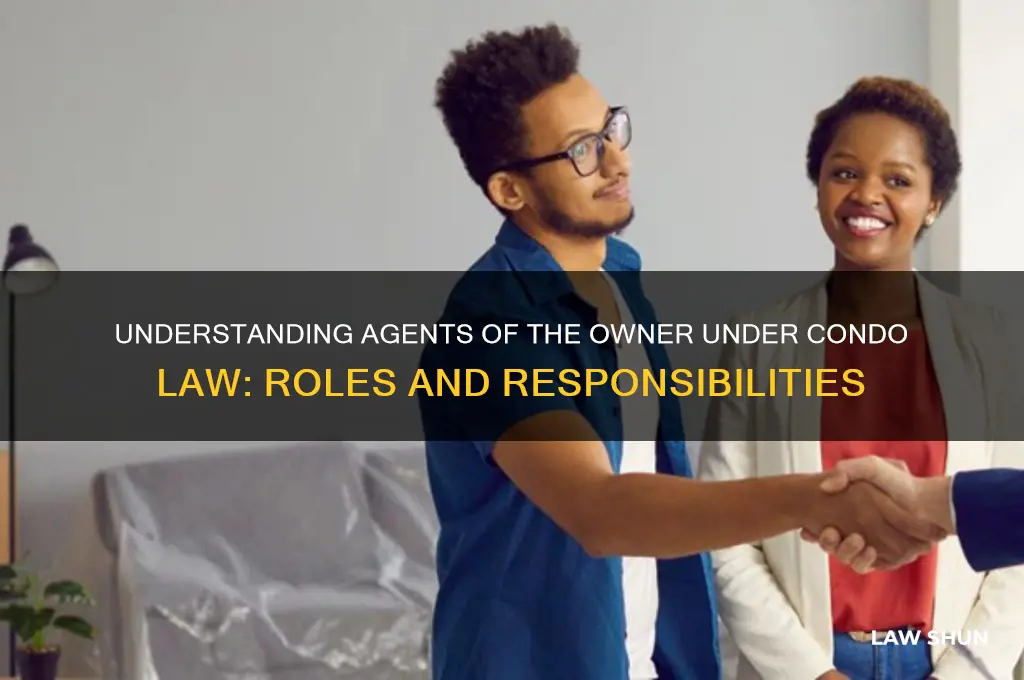 Understanding Agents Of The Owner Under Condo Law: Roles And ...