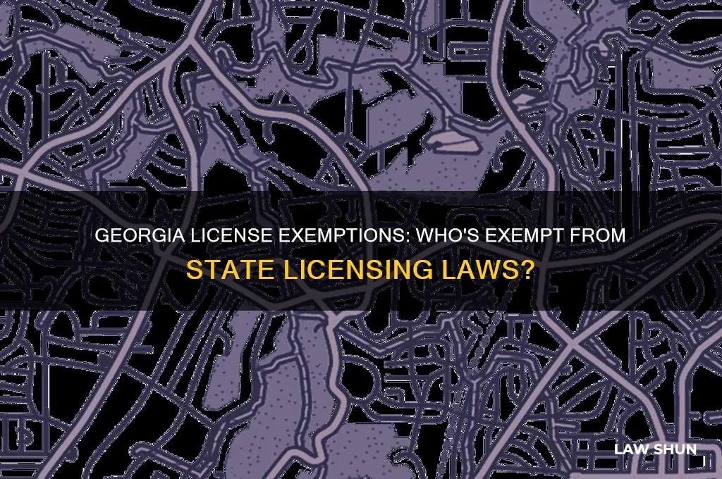 Georgia License Exemptions: Who's Exempt From State Licensing Laws ...