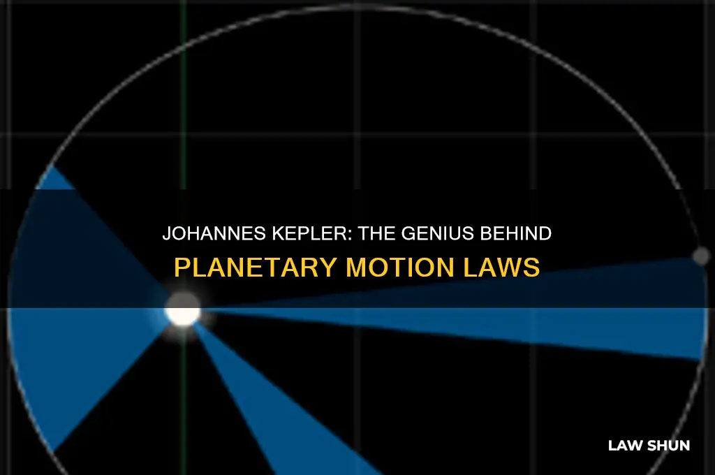 Johannes Kepler: The Genius Behind Planetary Motion Laws | LawShun