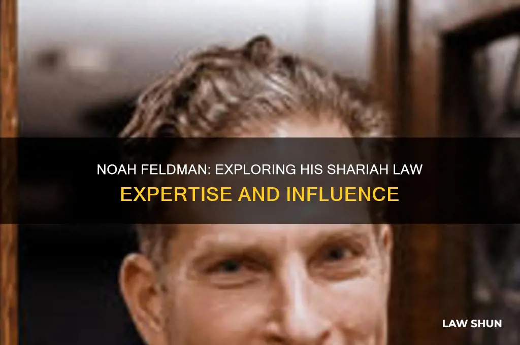 Noah Feldman: Exploring His Shariah Law Expertise And Influence | LawShun