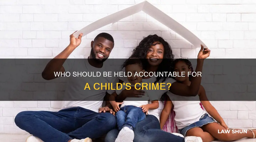 Who Should Be Held Accountable For A Child's Crime? | LawShun