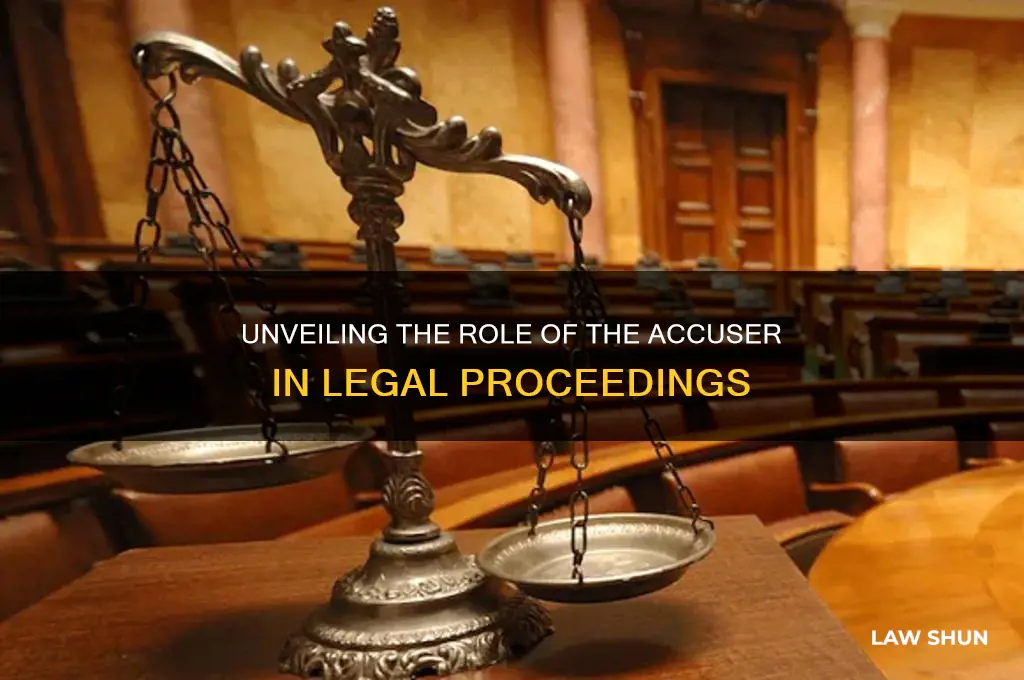 Unveiling The Role Of The Accuser In Legal Proceedings | LawShun