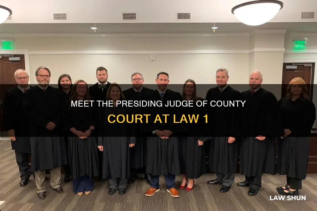 Meet The Presiding Judge Of County Court At Law 1 | LawShun