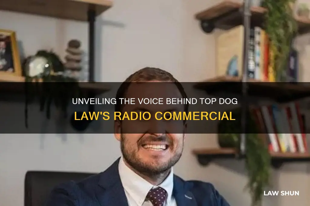 Unveiling The Voice Behind Top Dog Law's Radio Commercial | LawShun